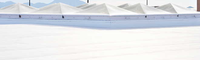 Triflex ProDetail® | Gutter Liquid Waterproofing System | Triflex